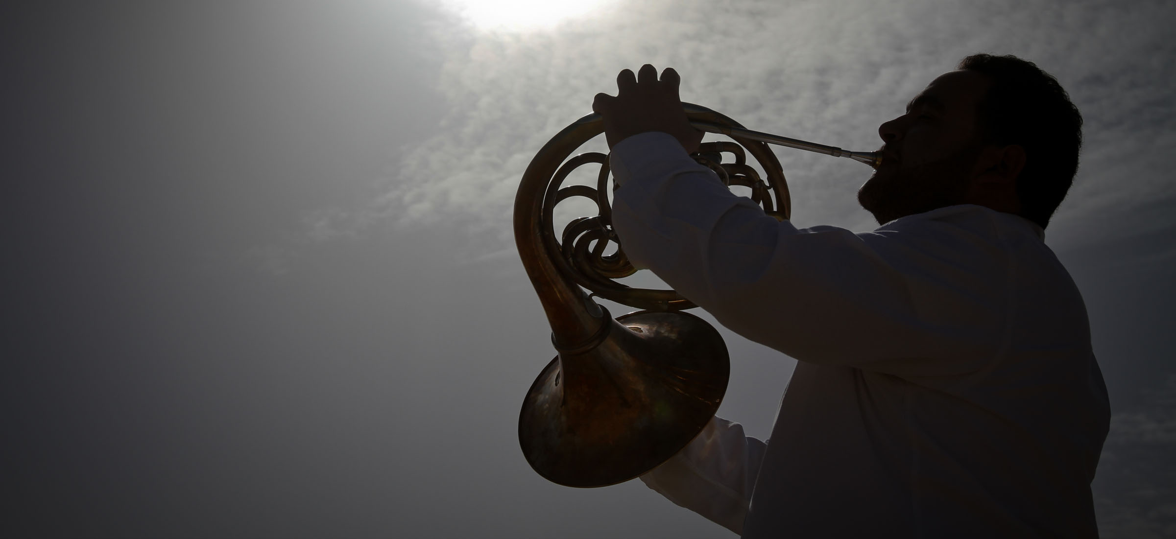 Amr Selim | French Horn